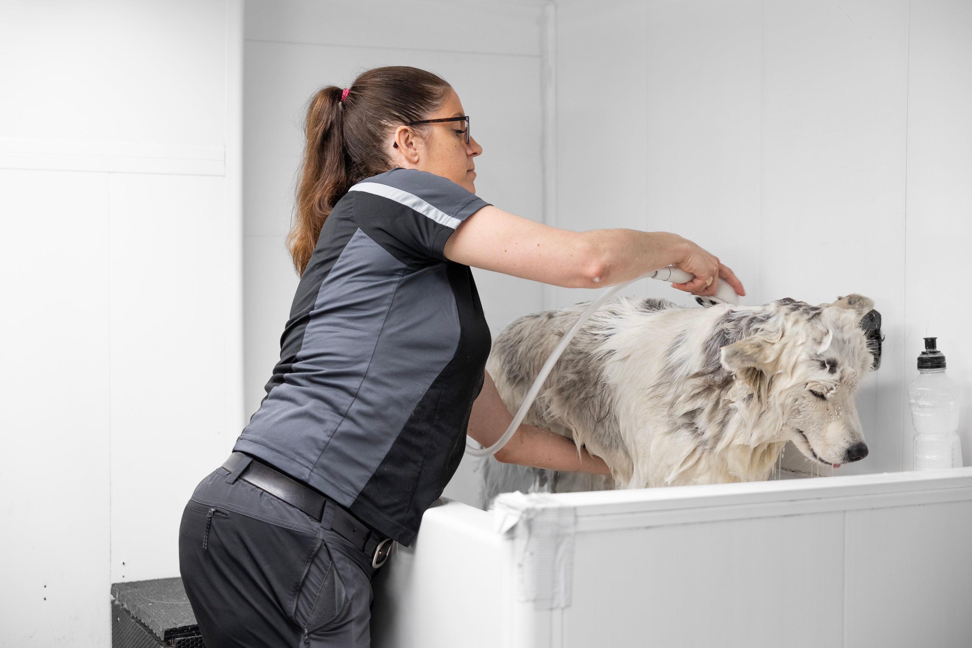 École Brigade Canine