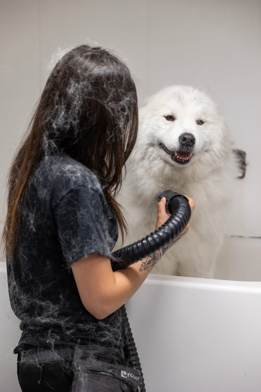 À propos – Brigade Canine