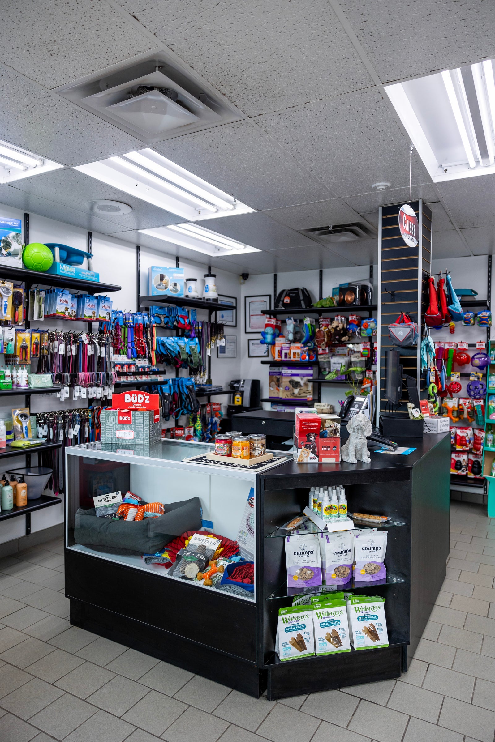 À propos – Brigade Canine