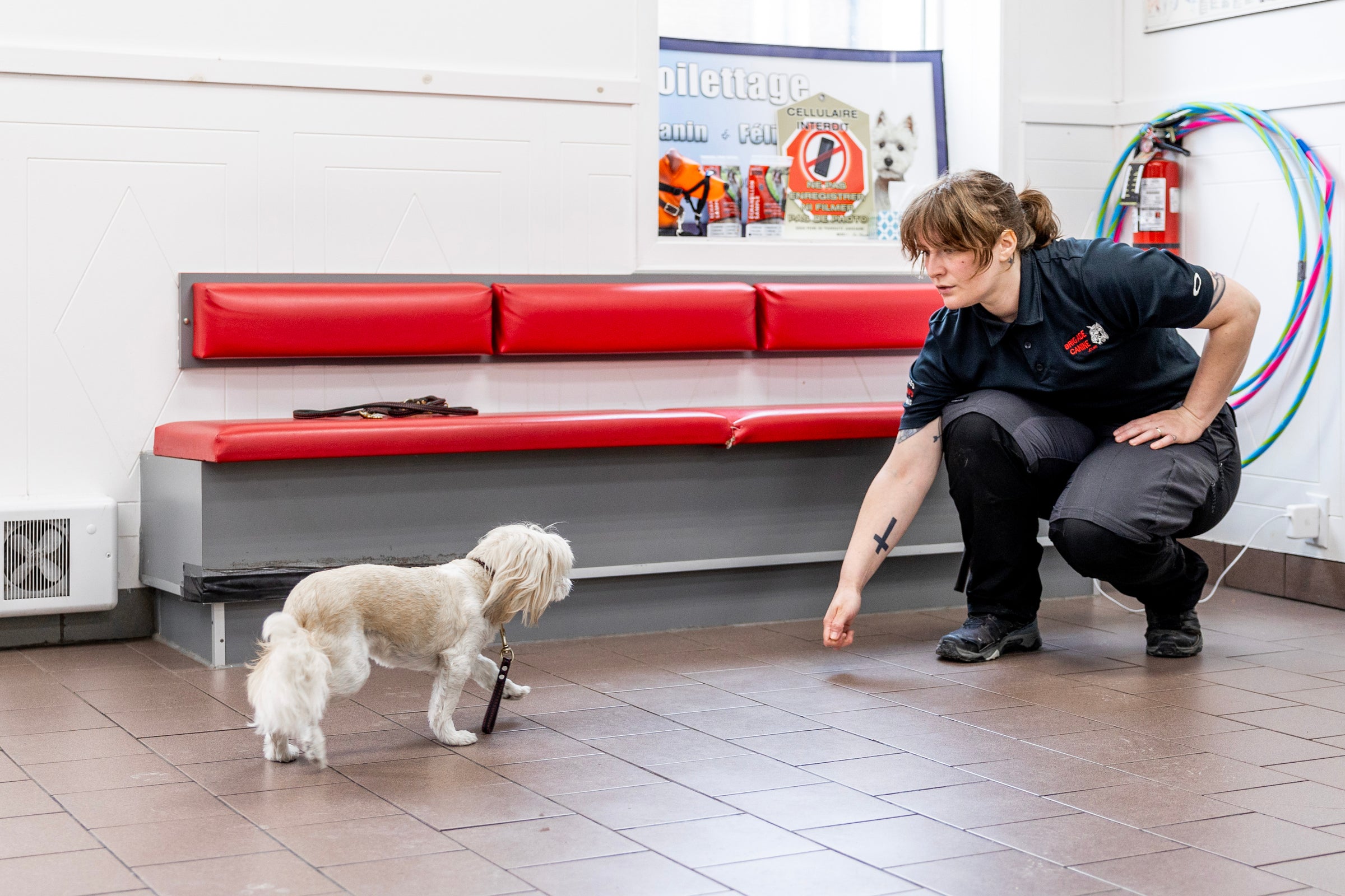 Cours pour chien – Brigade Canine