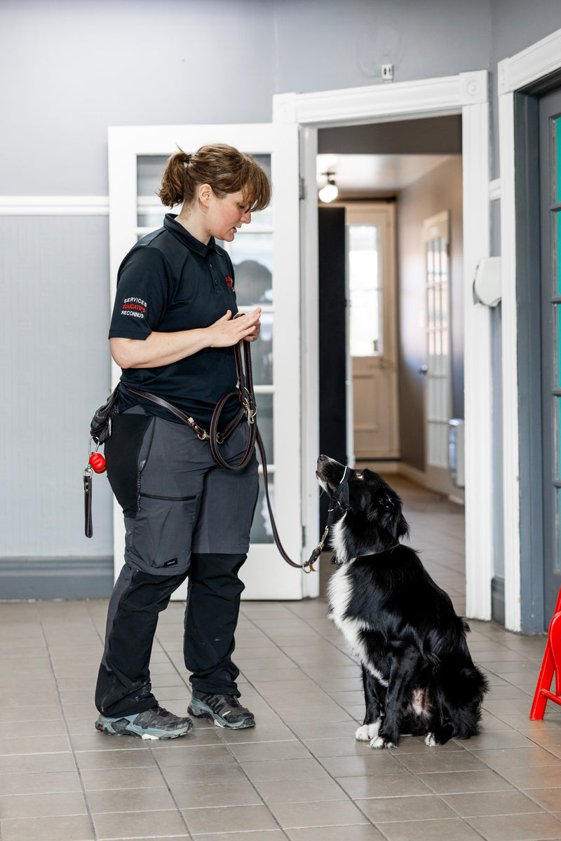 École Brigade Canine