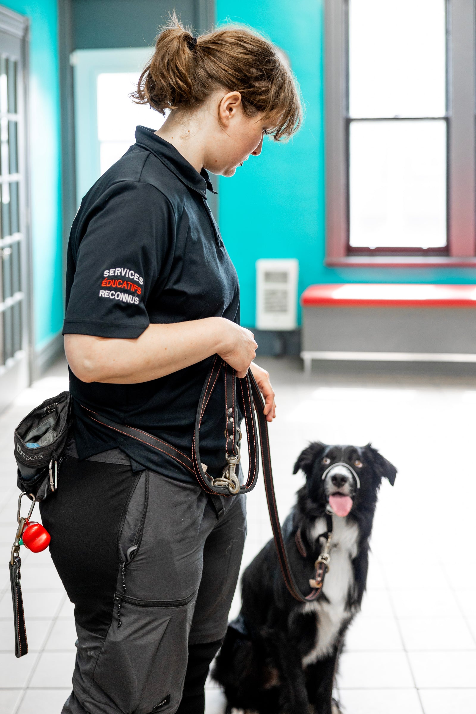 Cours privé à l'école – Brigade Canine