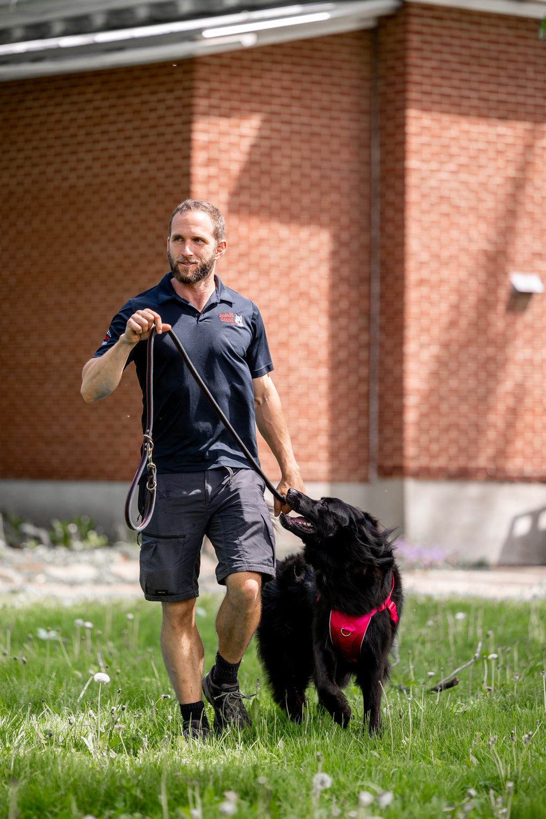 À propos – Brigade Canine