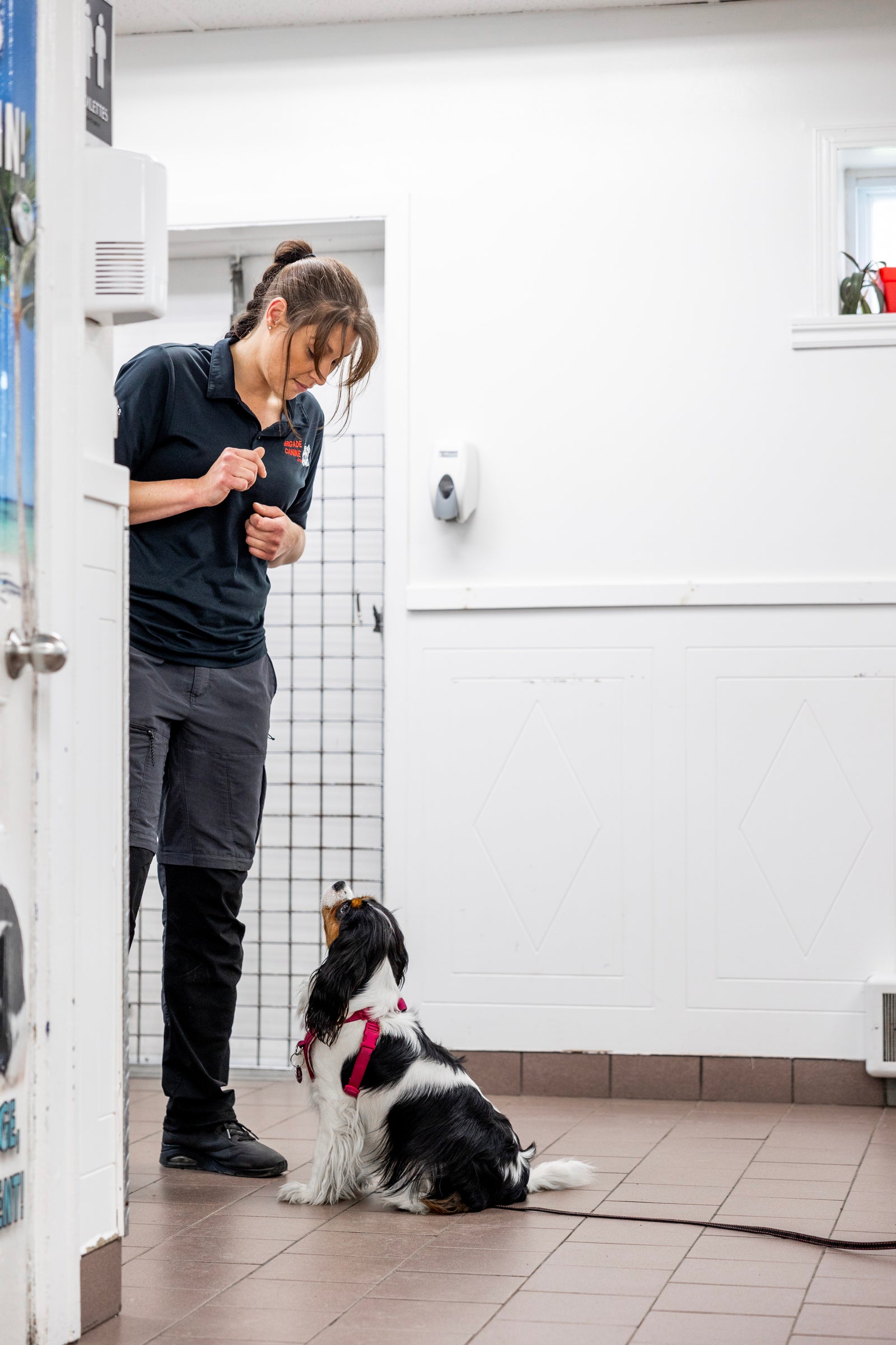 Cours pour chien – Brigade Canine