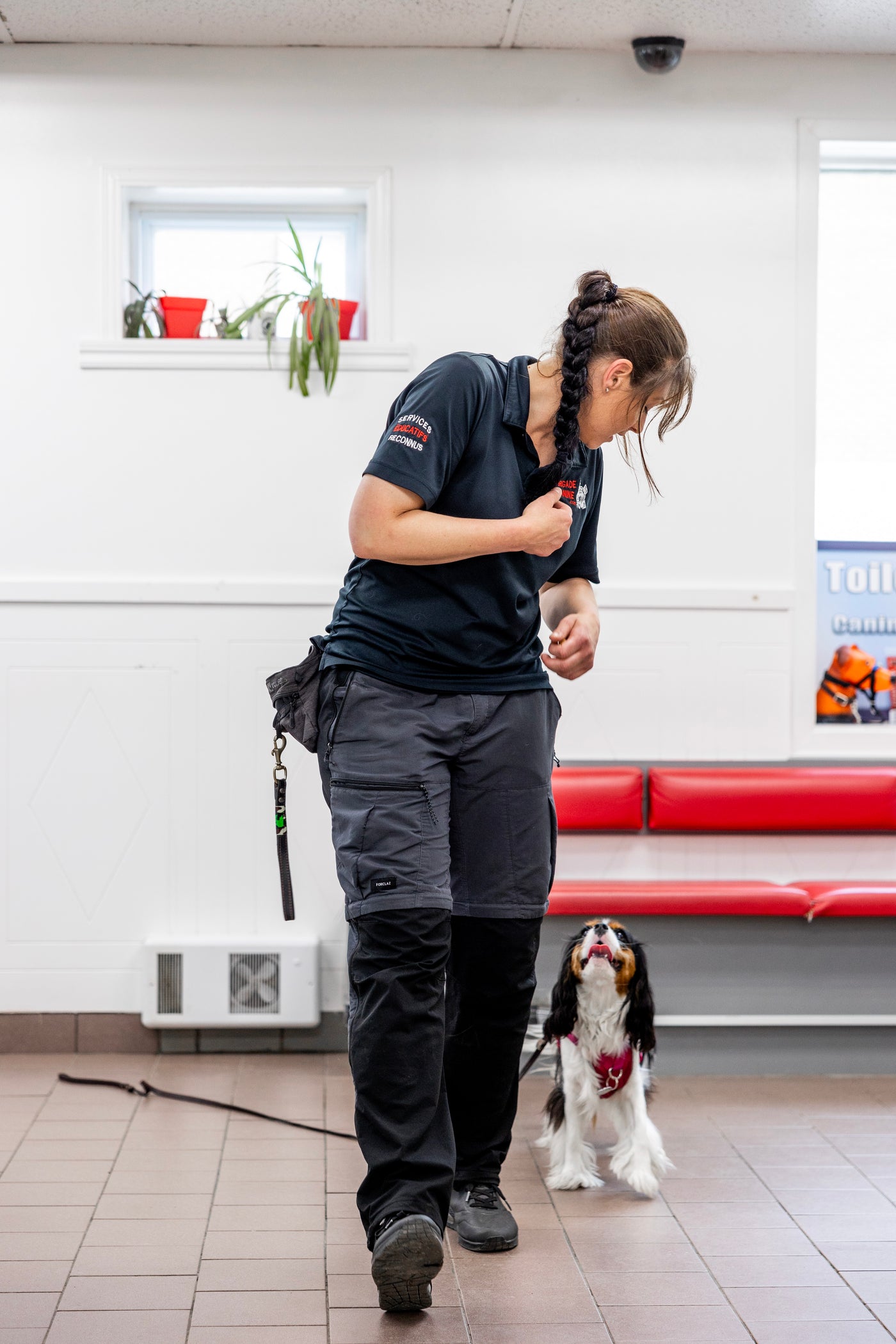 Cours privé à l'école – Brigade Canine