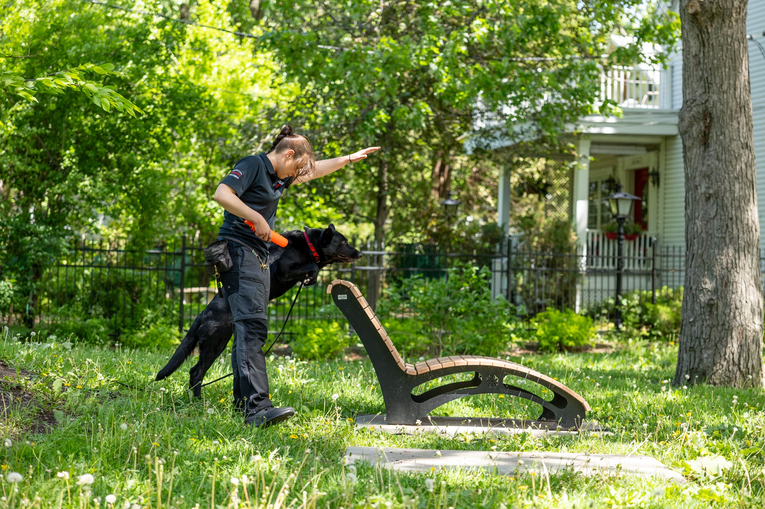 École Brigade Canine